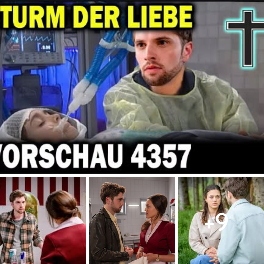 Sturm der Liebe: Henry und Maxi – Träume zerplatzen in einem ...