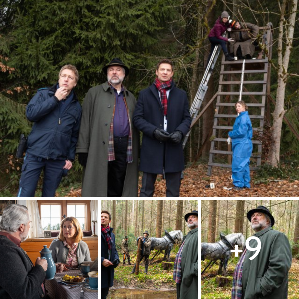 Matthias Messner: Tragische Details zum Tod des "Rosenheim-Cops"-Stars ...